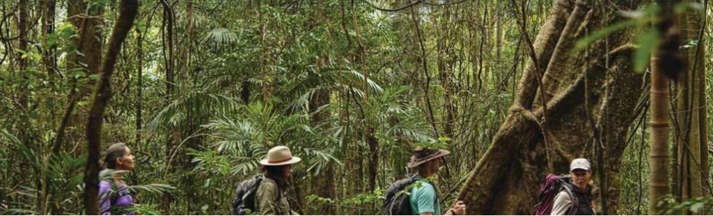 WALKING TOUR BANNER - FLYCRUISE